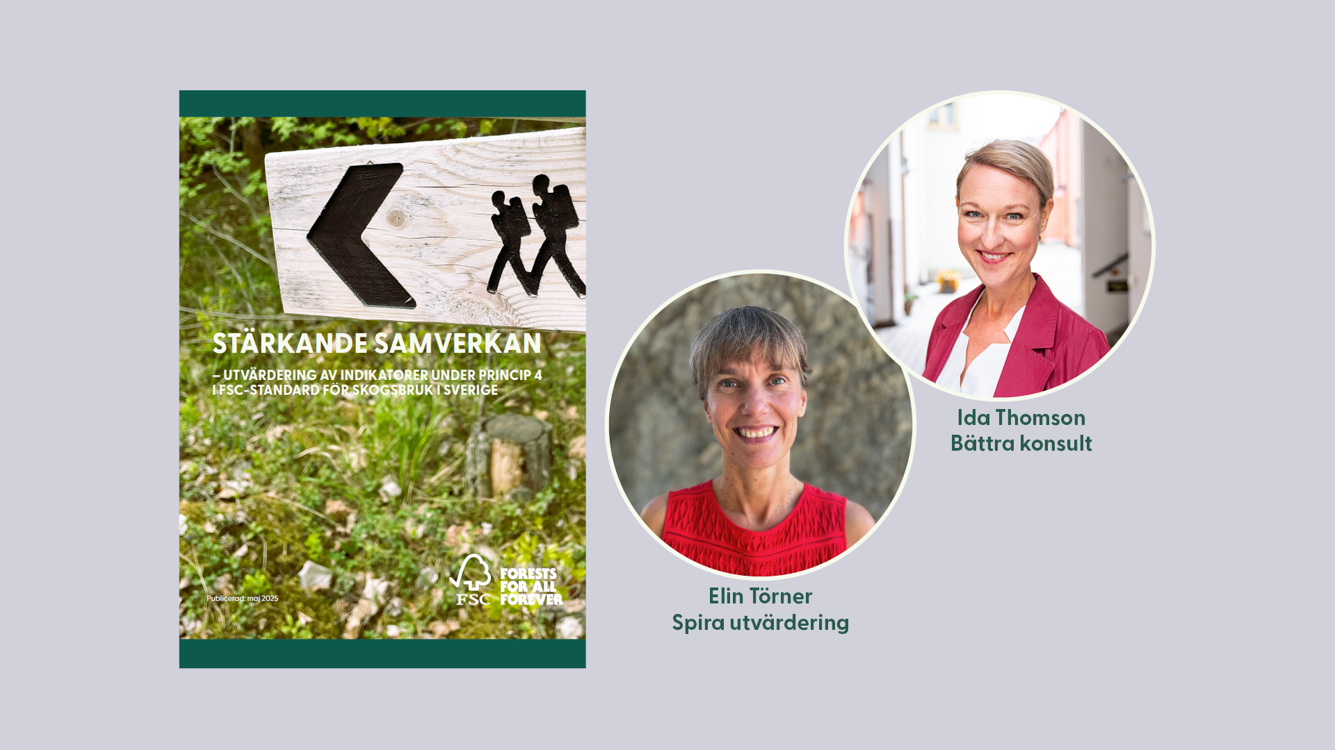 Samverkan i skogsbruket gör skillnad – men vägledningen behöver bli ...